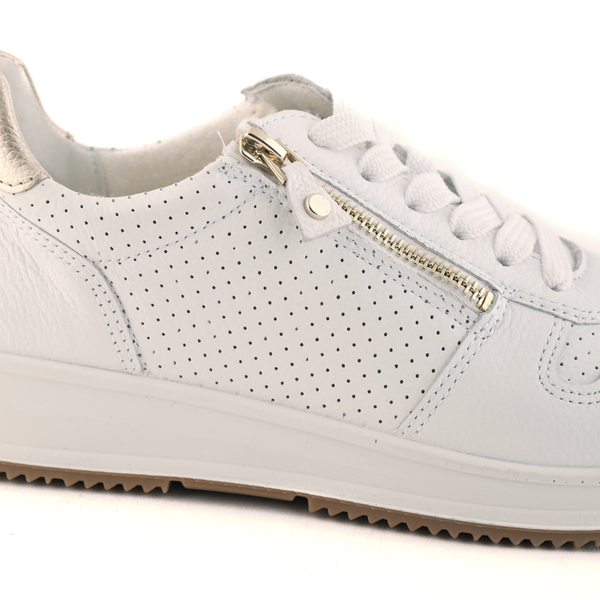 25510 White – Leisures