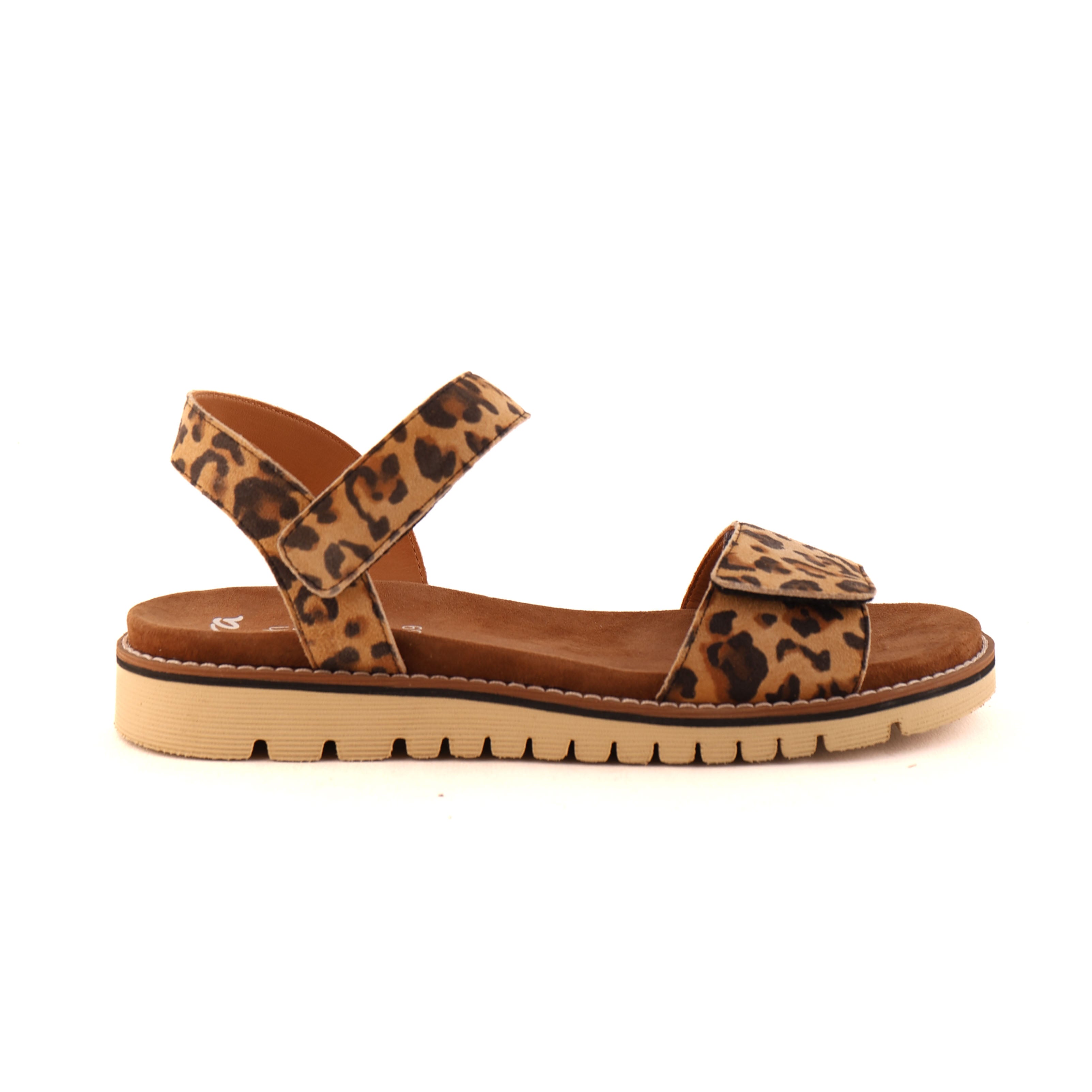 28114 Leopard Suede – Leisures